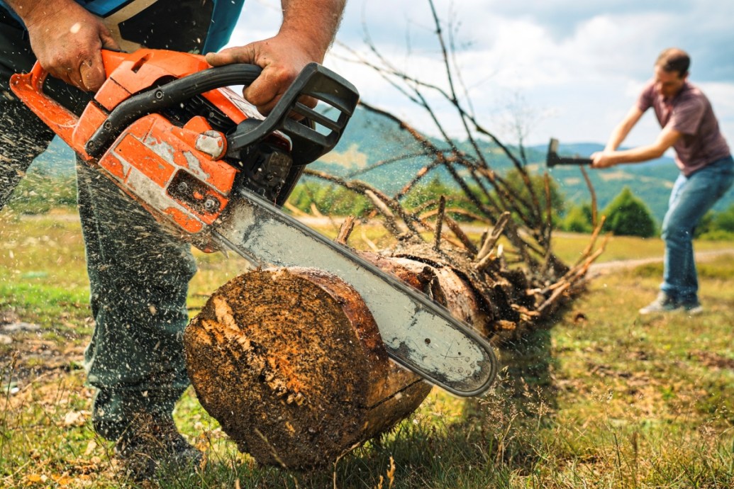 How to Use a Chainsaw Safely