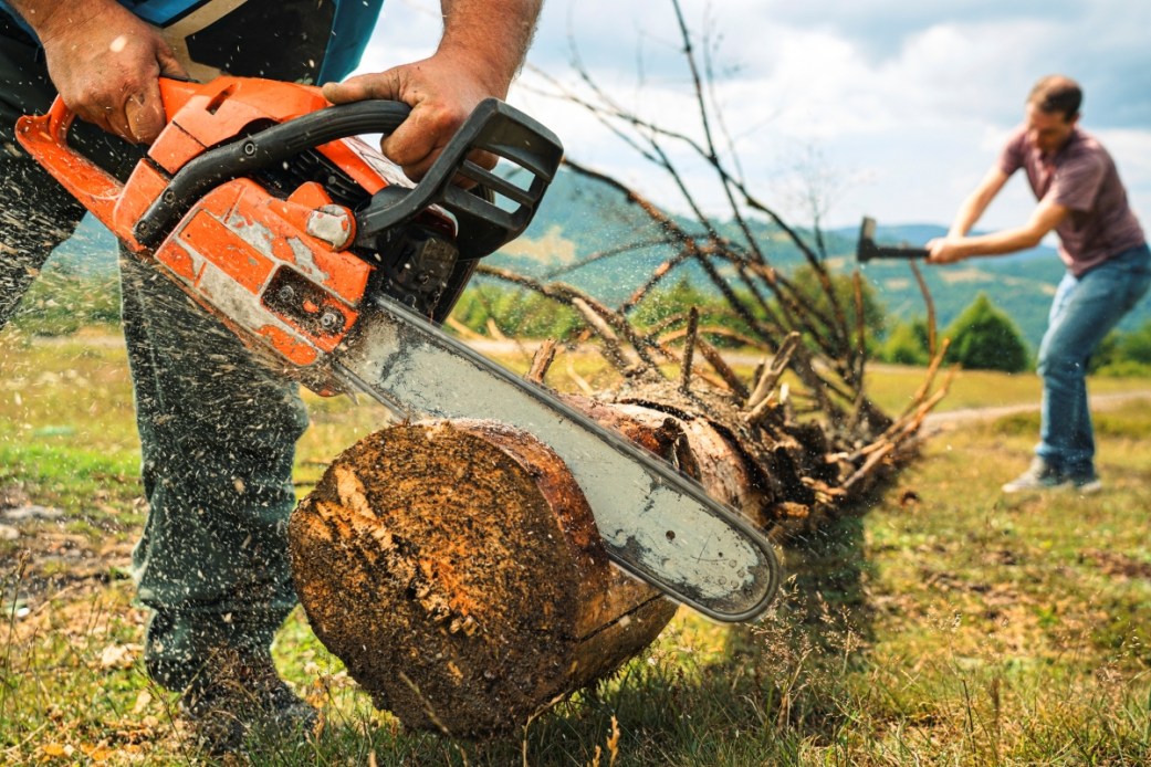 How to Use a Chainsaw Safely