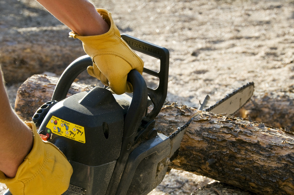 How to Use a Chainsaw
