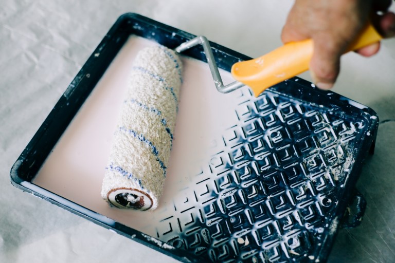 Types of Paint and Paint Finishes: A Complete Guide