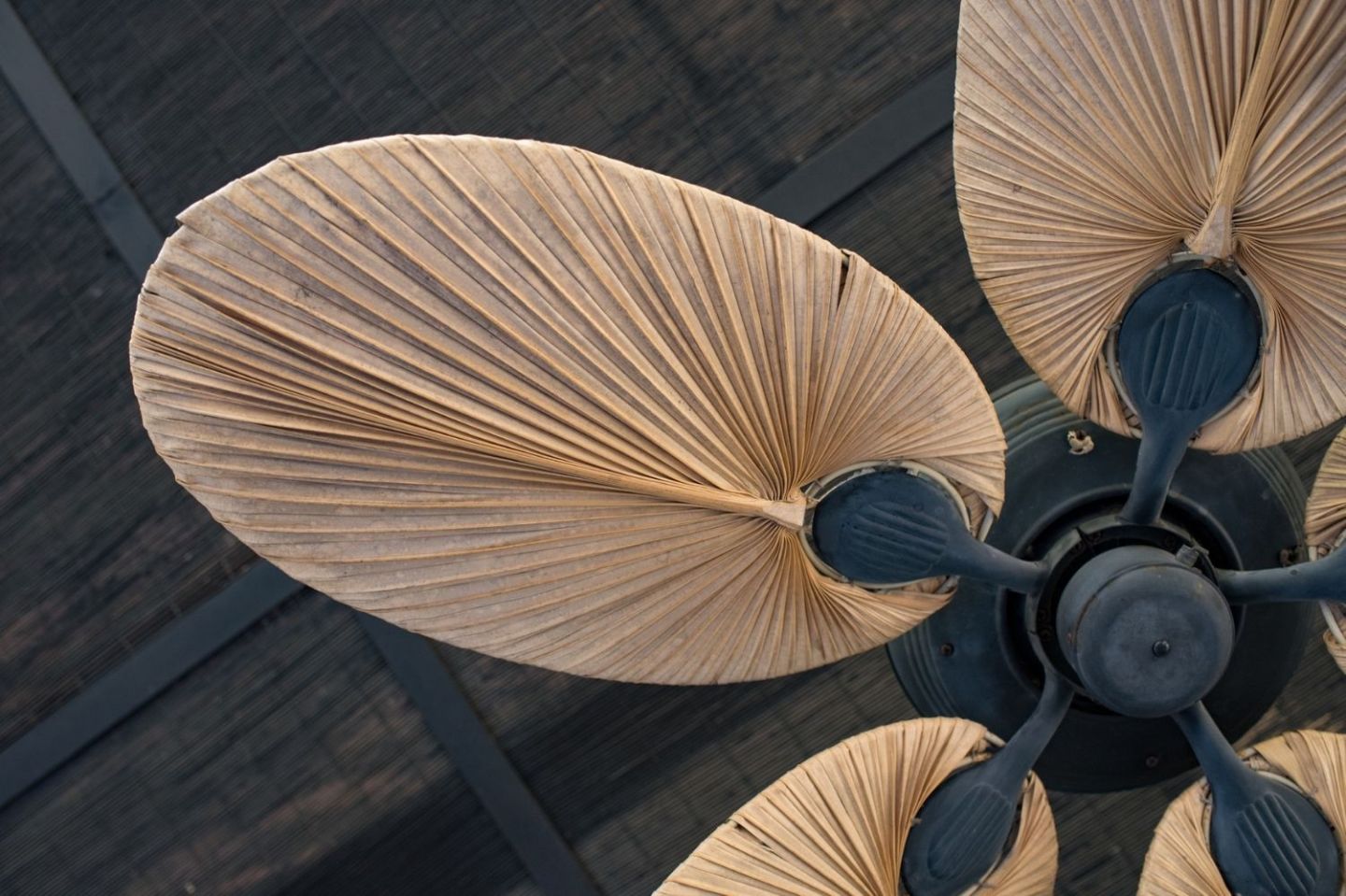 Get the Spin on Ceiling Fan Direction (to Save on Energy Costs)