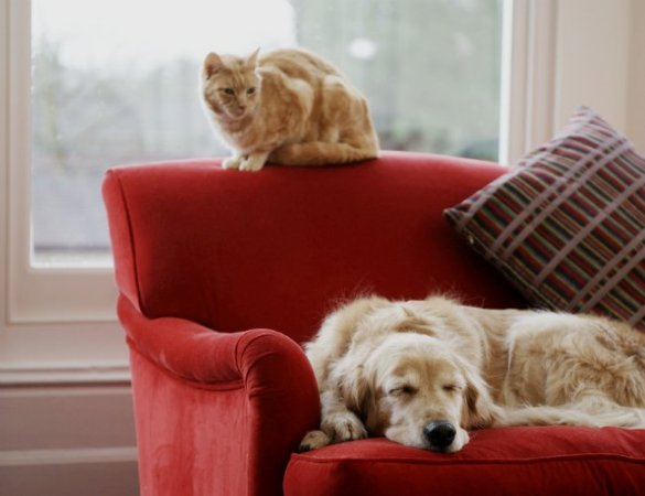 How to Clean Bronze (Two Ways) - Bob Vila