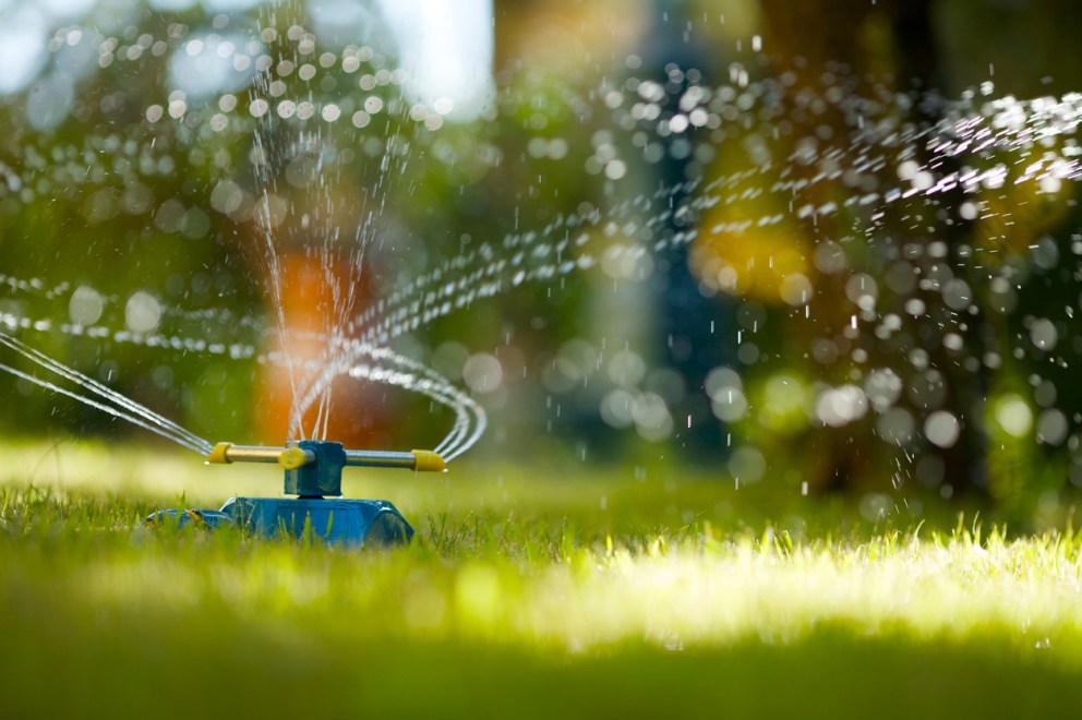 The Best Time to Water Grass How Often to Water the Lawn