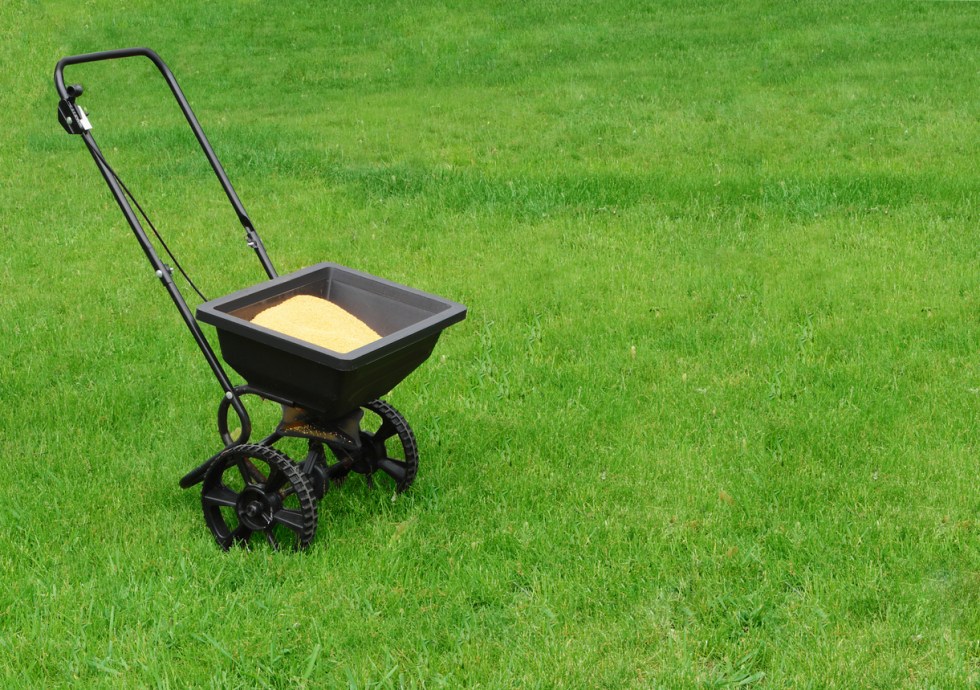 When to Plant Grass Seed: Experts Explain Why Timing Matters