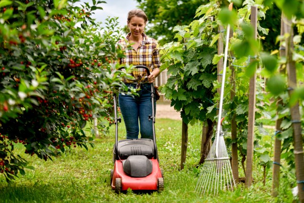 How to Mow a Lawn the Right Way — Advice From Bob Vila