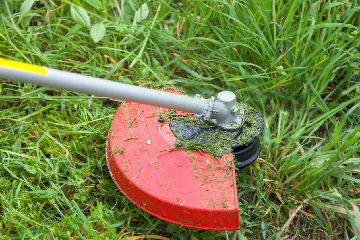 How to Mow a Lawn the Right Way — Advice From Bob Vila
