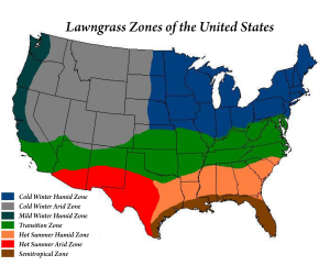 Types of Grass: Which is the Best Variety for Your Lawn? - Bob Vila