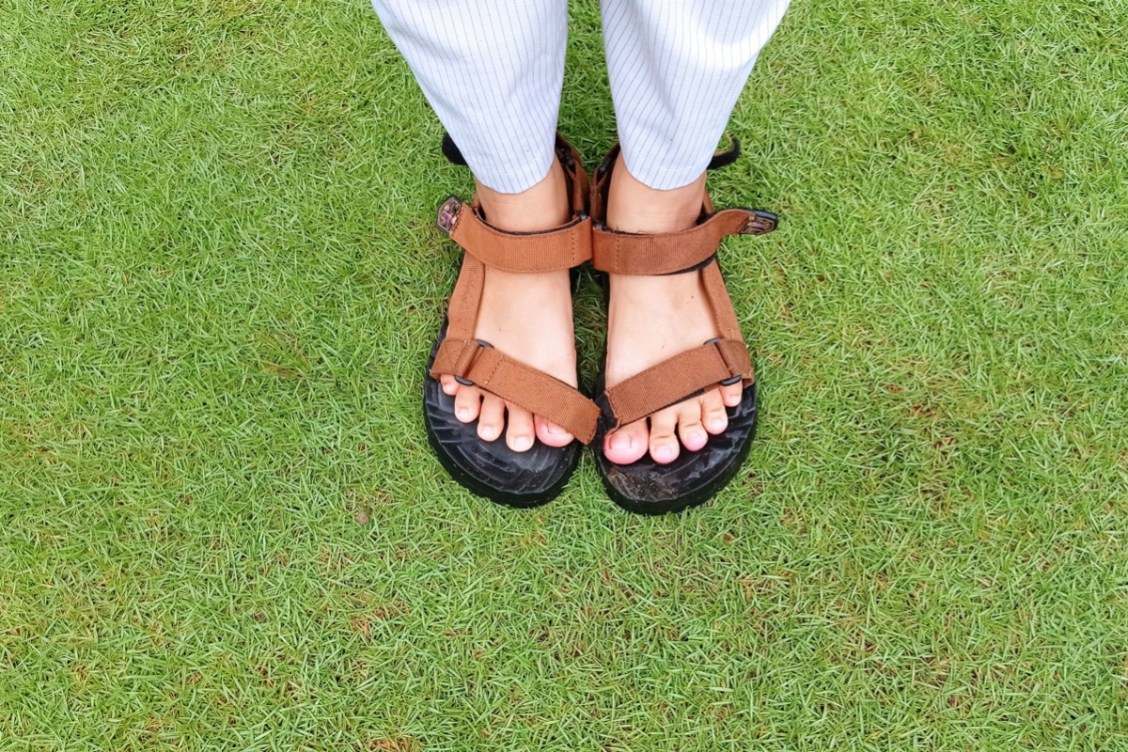 Types of Grass: Which is the Best Variety for Your Lawn? - Bob Vila