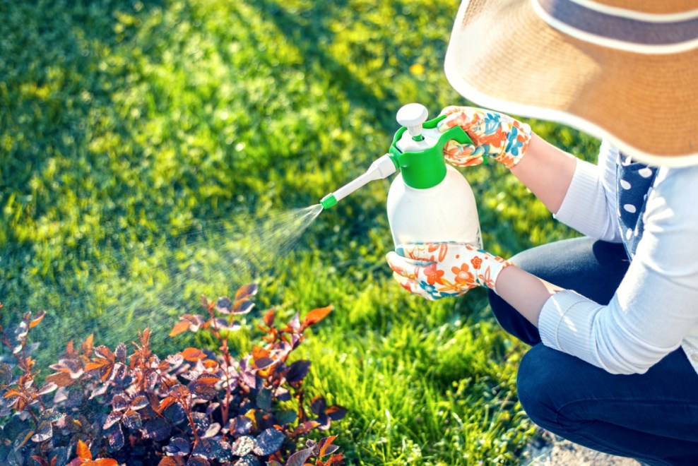 How to Get Rid of Ticks in the Yard - Bob Vila