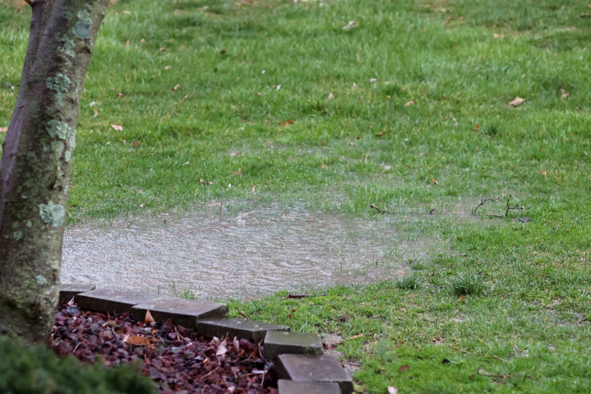 How to Build a Rain Garden—and Why You Should - Bob Vila