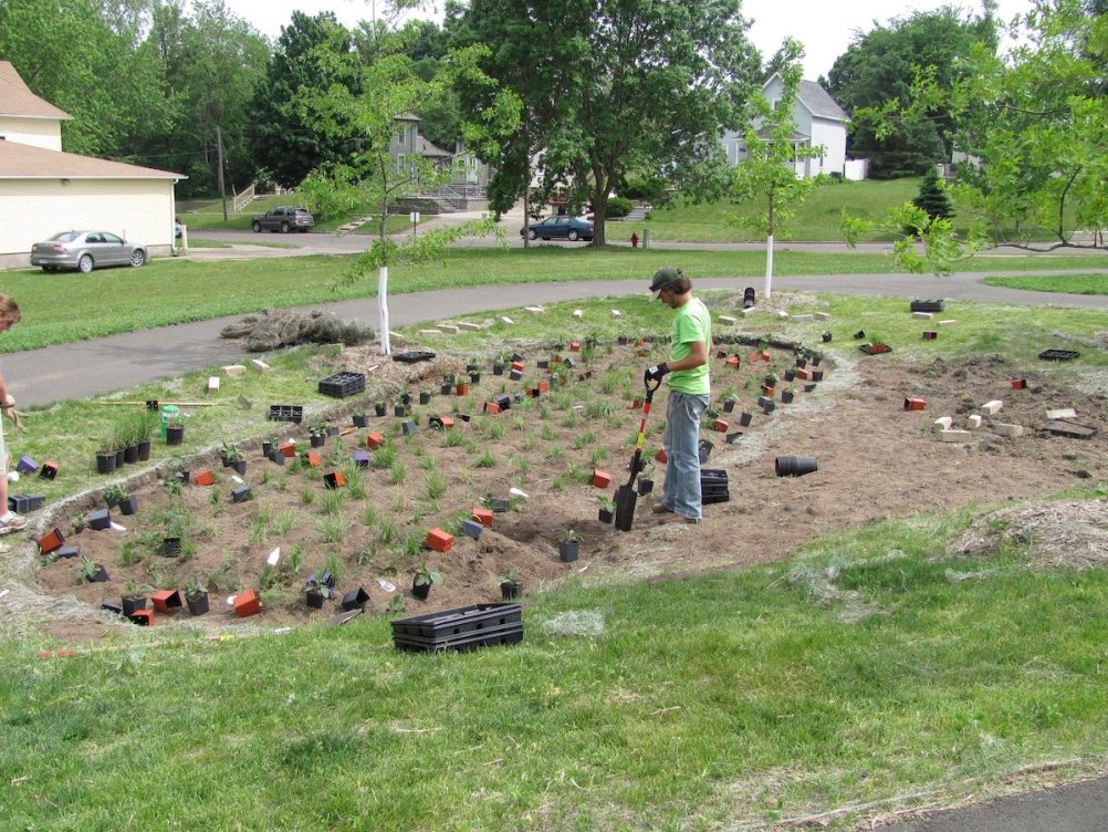 How to Build a Rain Garden—and Why You Should - Bob Vila