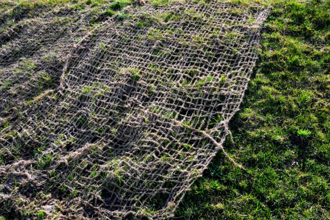 Landscape Fabric: Is it Right for Your Yard? - Bob Vila