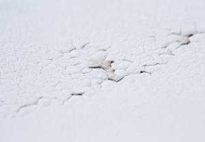Cracks in the Ceiling? What They Mean—and What to Do
