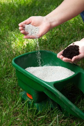 The Types of Fertilizer Every Gardener Should Know - Bob Vila
