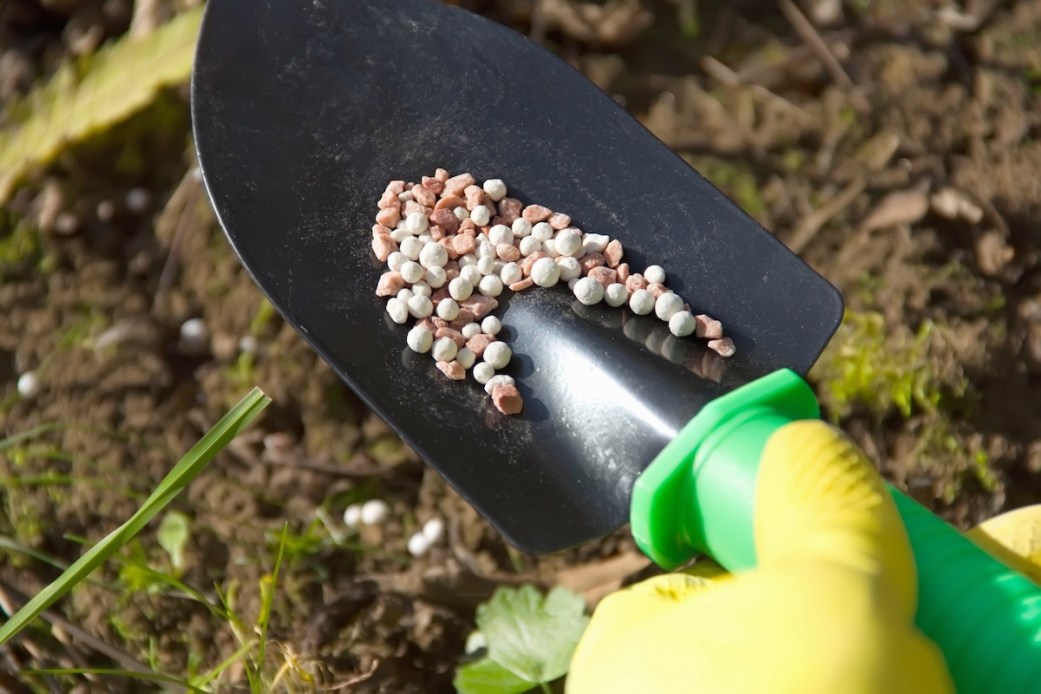 The Types of Fertilizer Every Gardener Should Know - Bob Vila