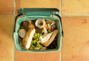 Indoor Composting 101 (and How to Get Started) - Bob Vila