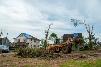 What to Do When a Tree Falls on the House (+ Insurance Tips)