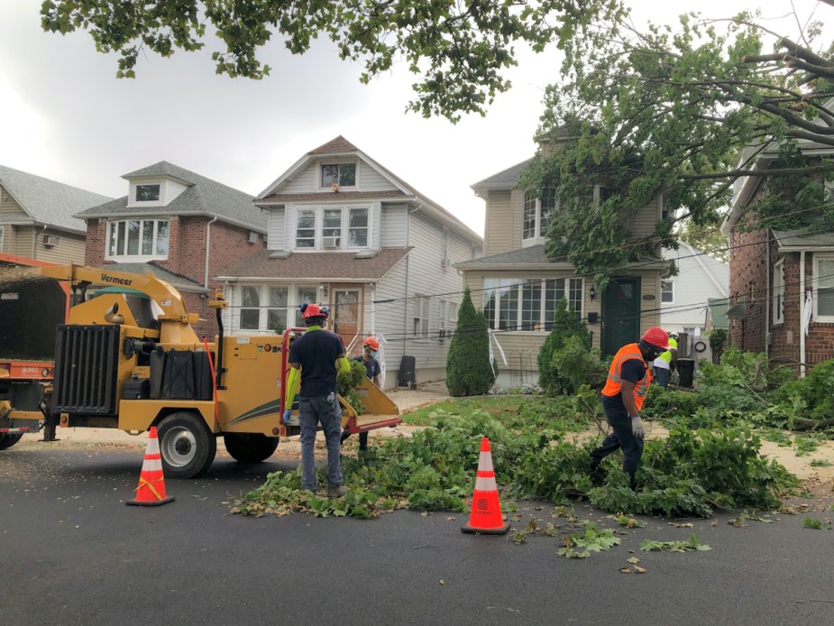 What to Do When a Tree Falls on the House (+ Insurance Tips)
