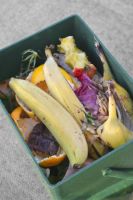 Compost Tea 101 - What It Is and How to Make It - Bob Vila