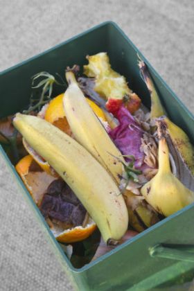 Compost Tea 101 - What It Is and How to Make It - Bob Vila