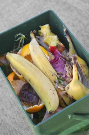 Compost Tea 101 - What It Is and How to Make It - Bob Vila