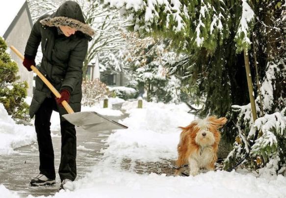 8 Clever Hacks for How to Shovel Snow - Bob Vila