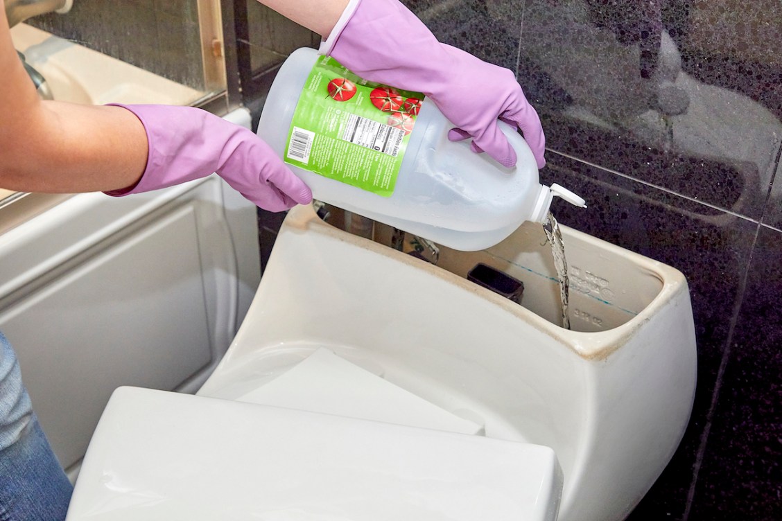 How to Clean a Toilet Tank