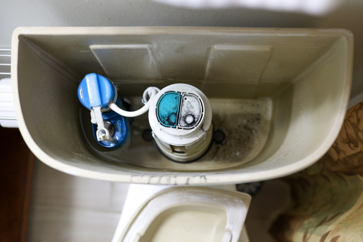 How to Clean a Toilet Tank - Bob Vila