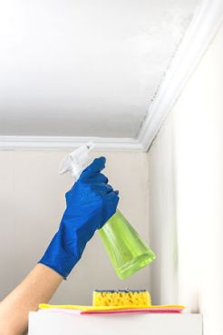 How to Clean a Popcorn Ceiling