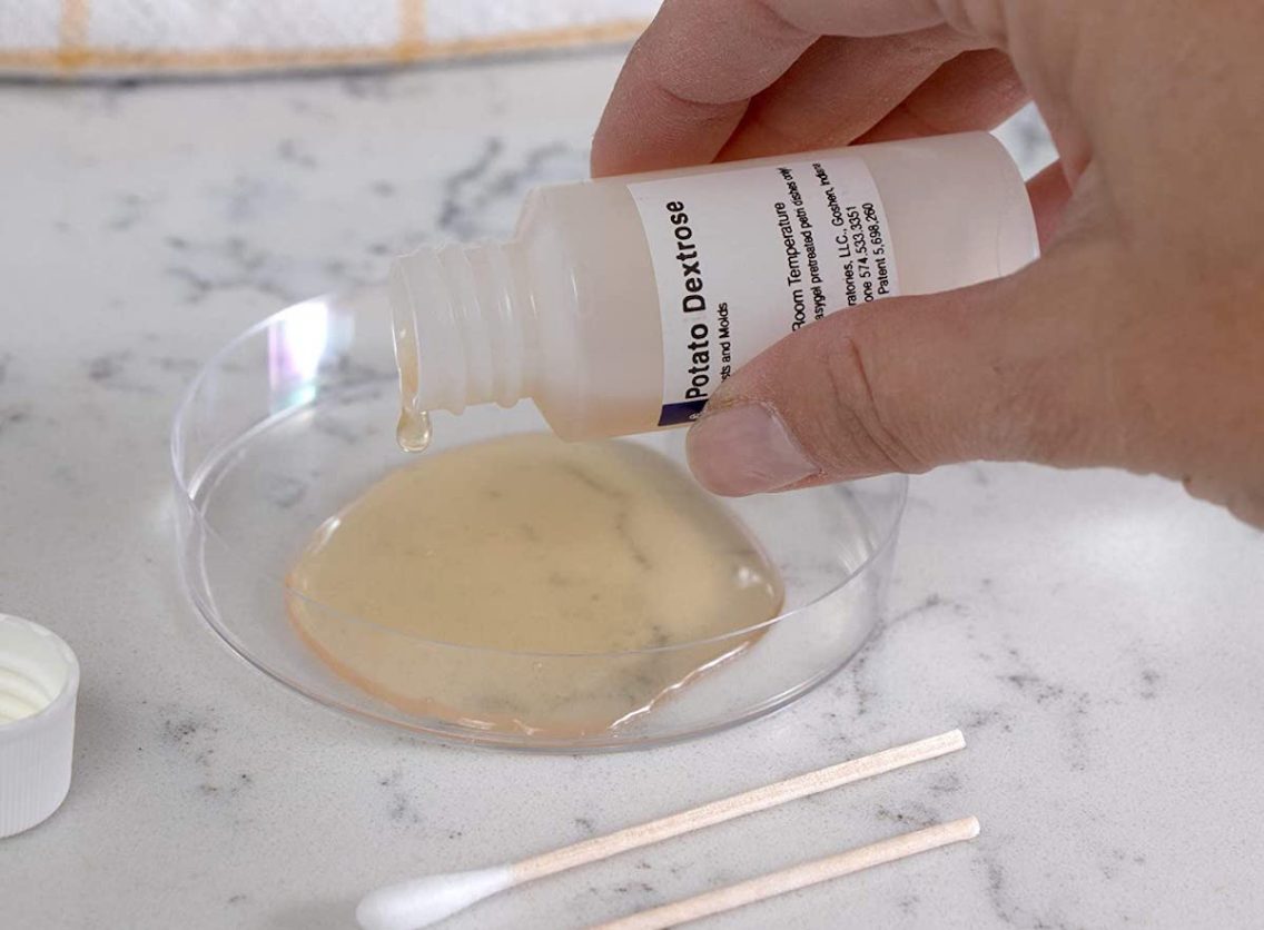 How to Test for Mold (Even If You Can't See It)