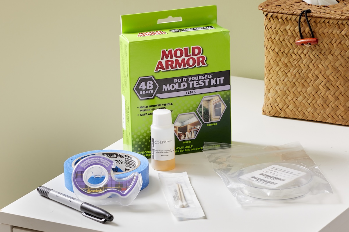 How to Test Your Home For Mold