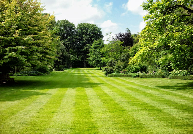 Lawn Striping? 6 Things to Know Before You Start - Bob Vila