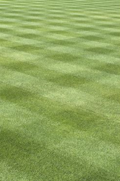Lawn Striping? 6 Things to Know Before You Start - Bob Vila