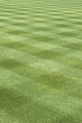 Lawn Striping? 6 Things to Know Before You Start - Bob Vila