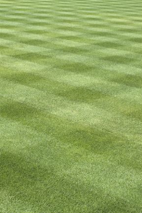 Lawn Striping? 6 Things to Know Before You Start - Bob Vila
