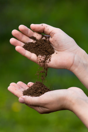 Loamy Soil 101: How to Make and Garden with It - Bob Vila
