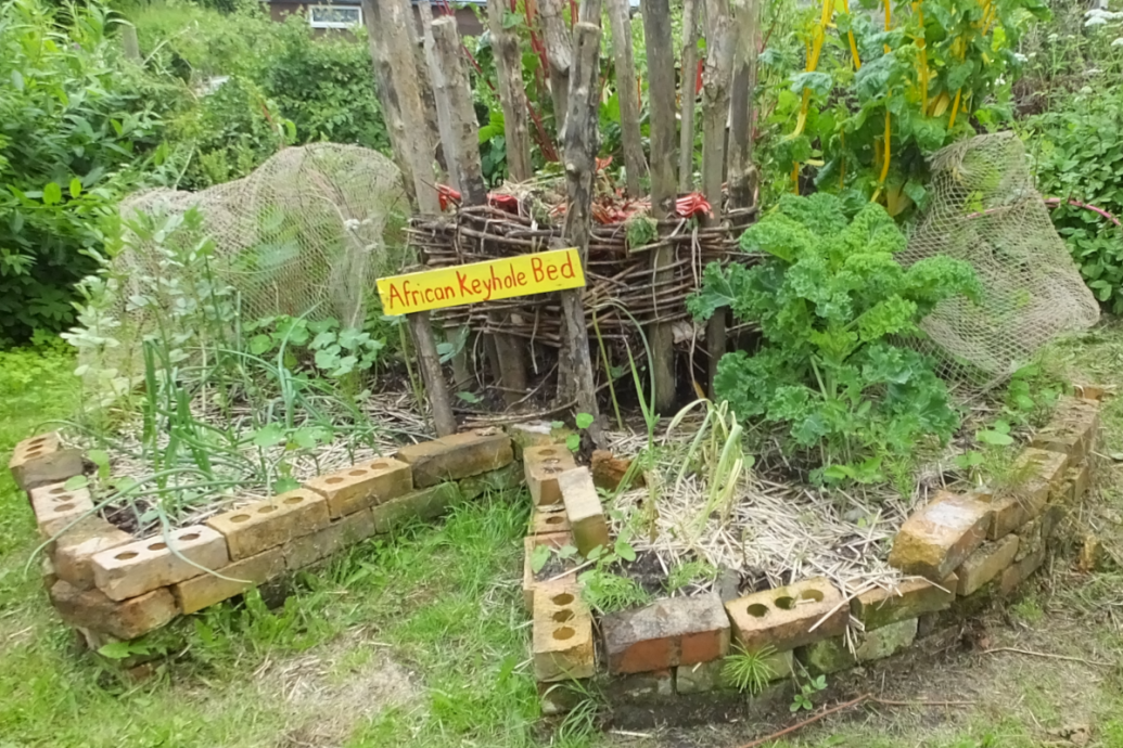 Keyhole Gardening: What You Need to Know to Get Started