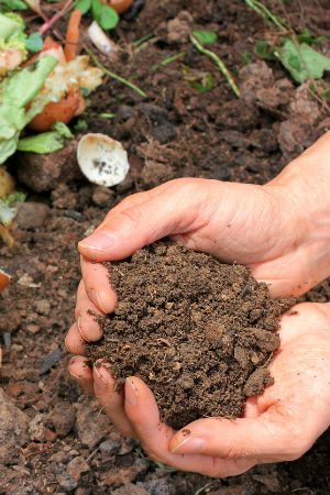 Keyhole Gardening 101: All You Need to Know - Bob Vila