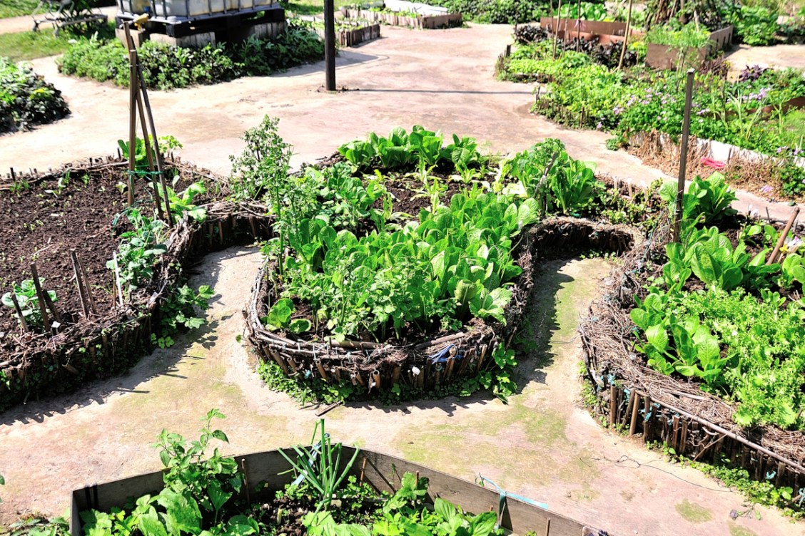 Keyhole Gardening: What You Need to Know to Get Started