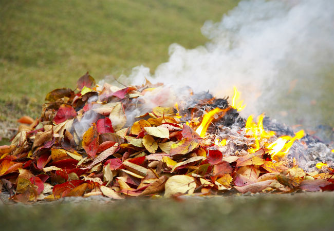 Burning Leaves? What to Know Before You Start (+Safe Alternatives)