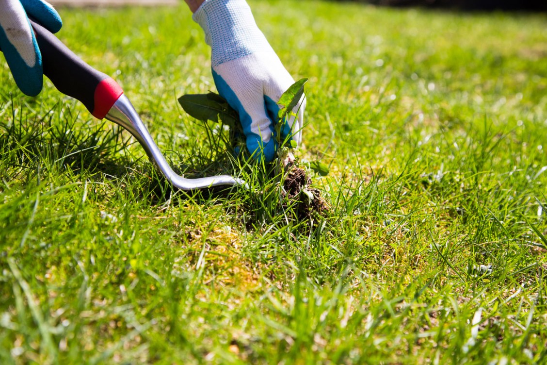 Pulling Weeds? Tips for Easier Weed Control - Bob Vila