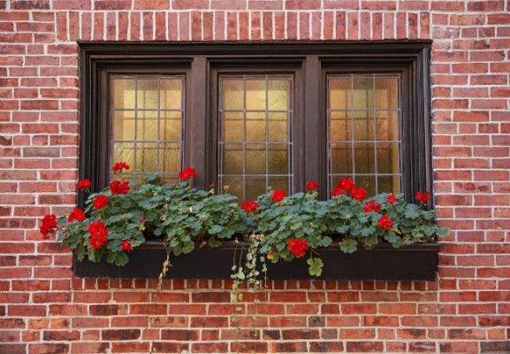 Tinted Home Windows: All You Need to Know Before Installation - Bob Vila