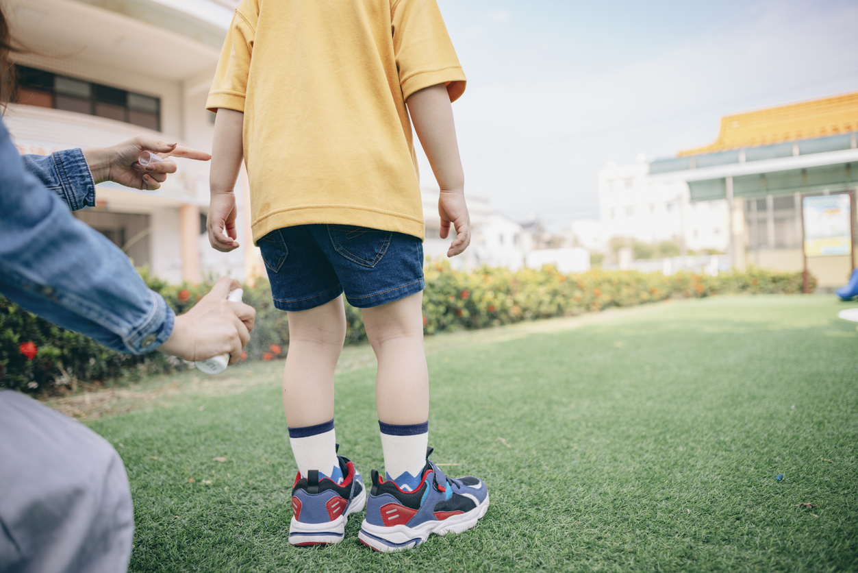 This is What to Do When You Find Ticks in the House - Bob Vila