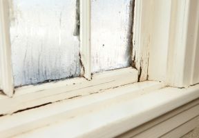 Wood Rot 101: How to Prevent and Repair Its Damage - Bob Vila
