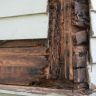 Wood Rot 101: How to Prevent and Repair Its Damage - Bob Vila