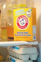 Smelly Fridge? 9 Tips for Deodorizing the Fridge & Freezer - Bob Vila