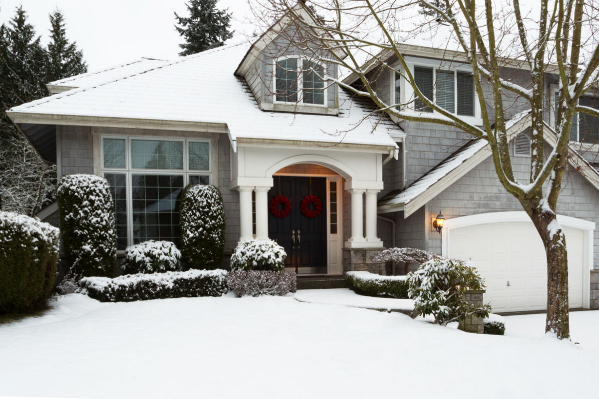 Snow Mold 101: All You Need to Know About the Lawn Fungus - Bob Vila