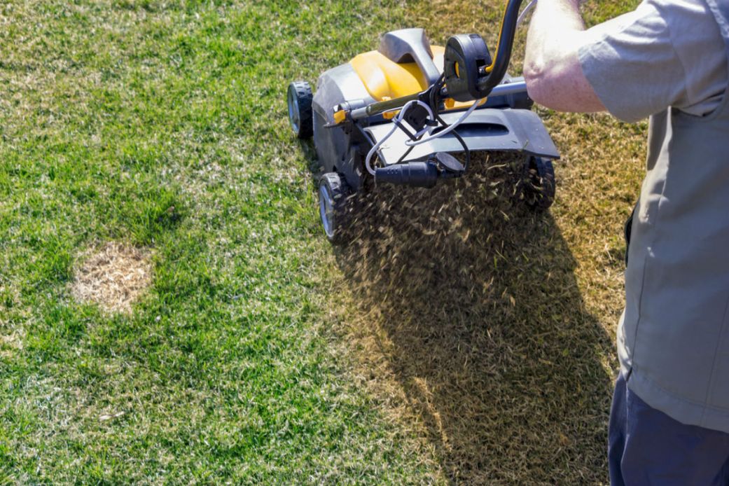 When to Aerate the Lawn: Your Questions, Answered