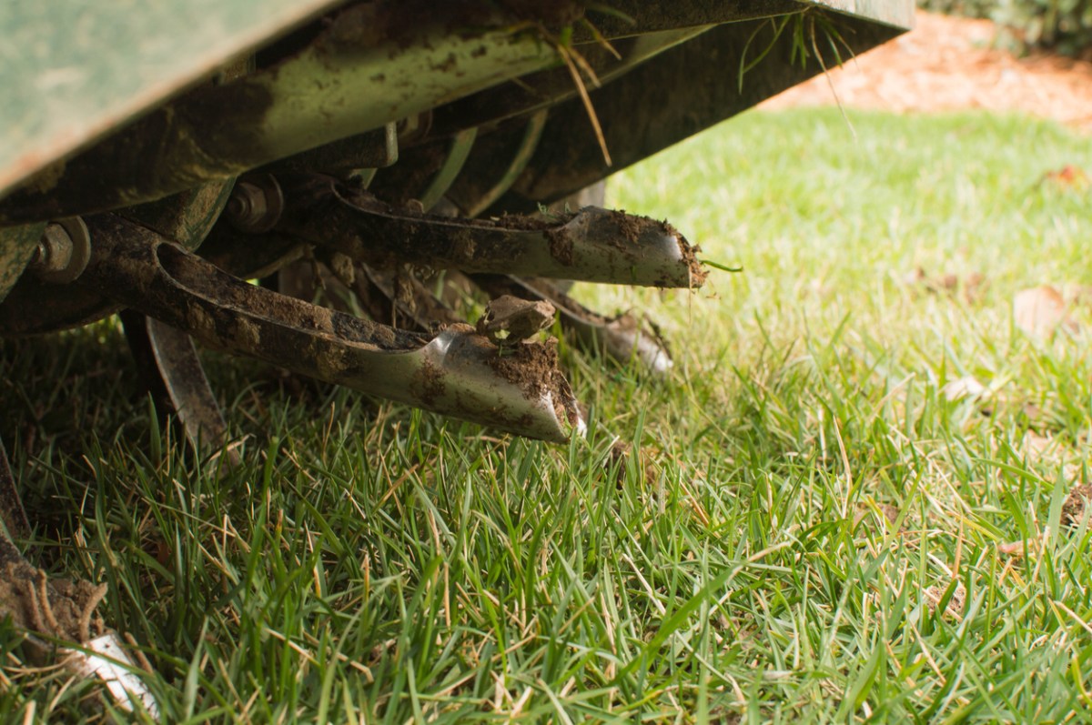 When to Aerate the Lawn: Your Questions, Answered