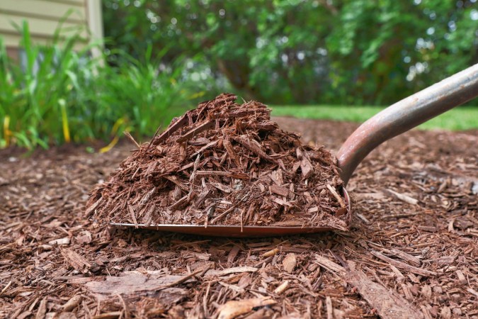 How to Use Coffee Grounds in the Garden